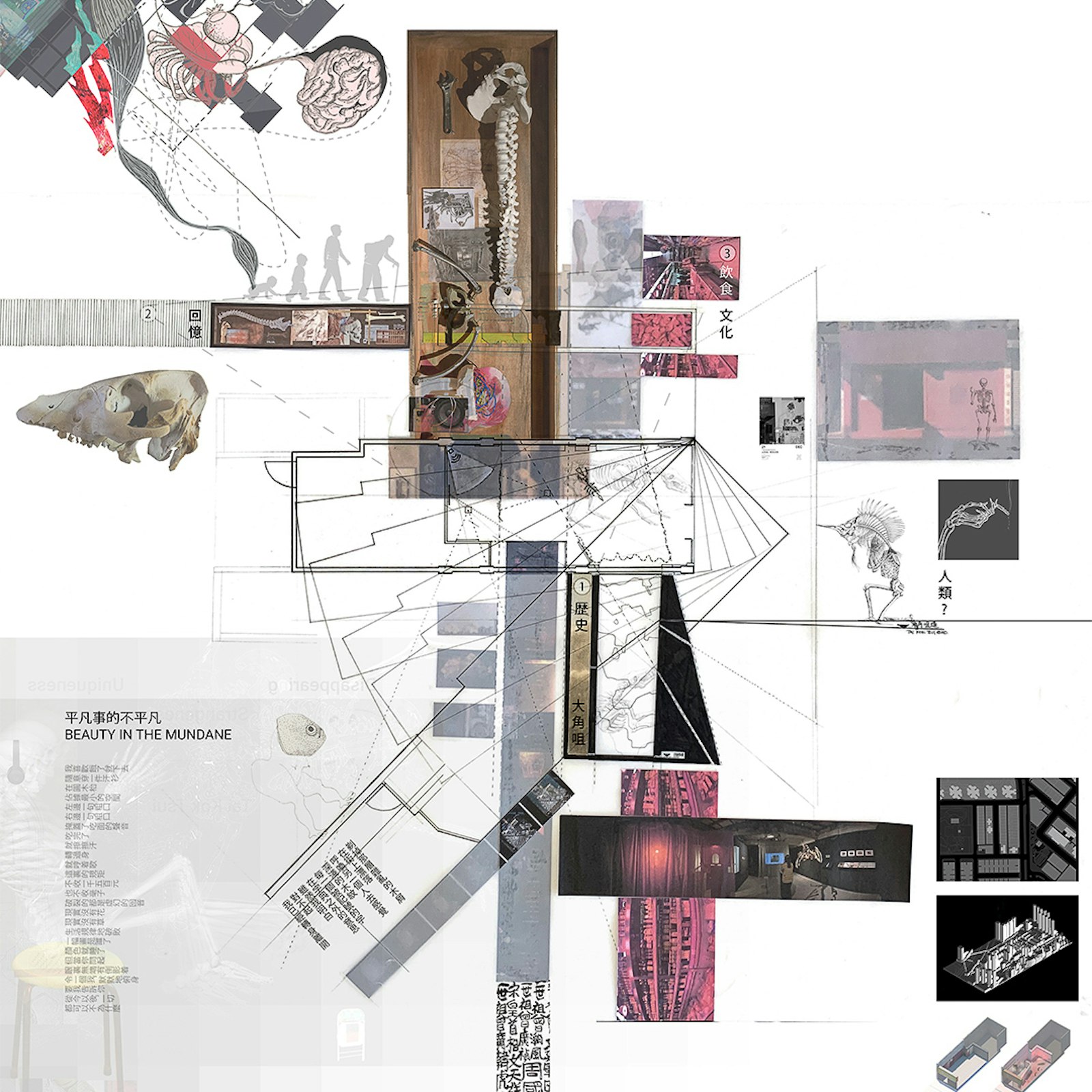 Tai Kok Tsui Community Kitchen