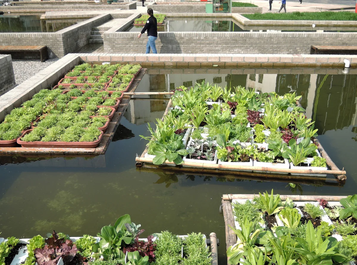Floating Fields (Shenzhen) by Prof. Thomas Chung