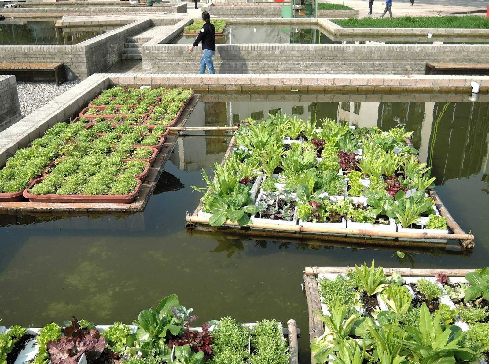 Floating Fields: Recycling Architecture as Productive Leisure Pondscape