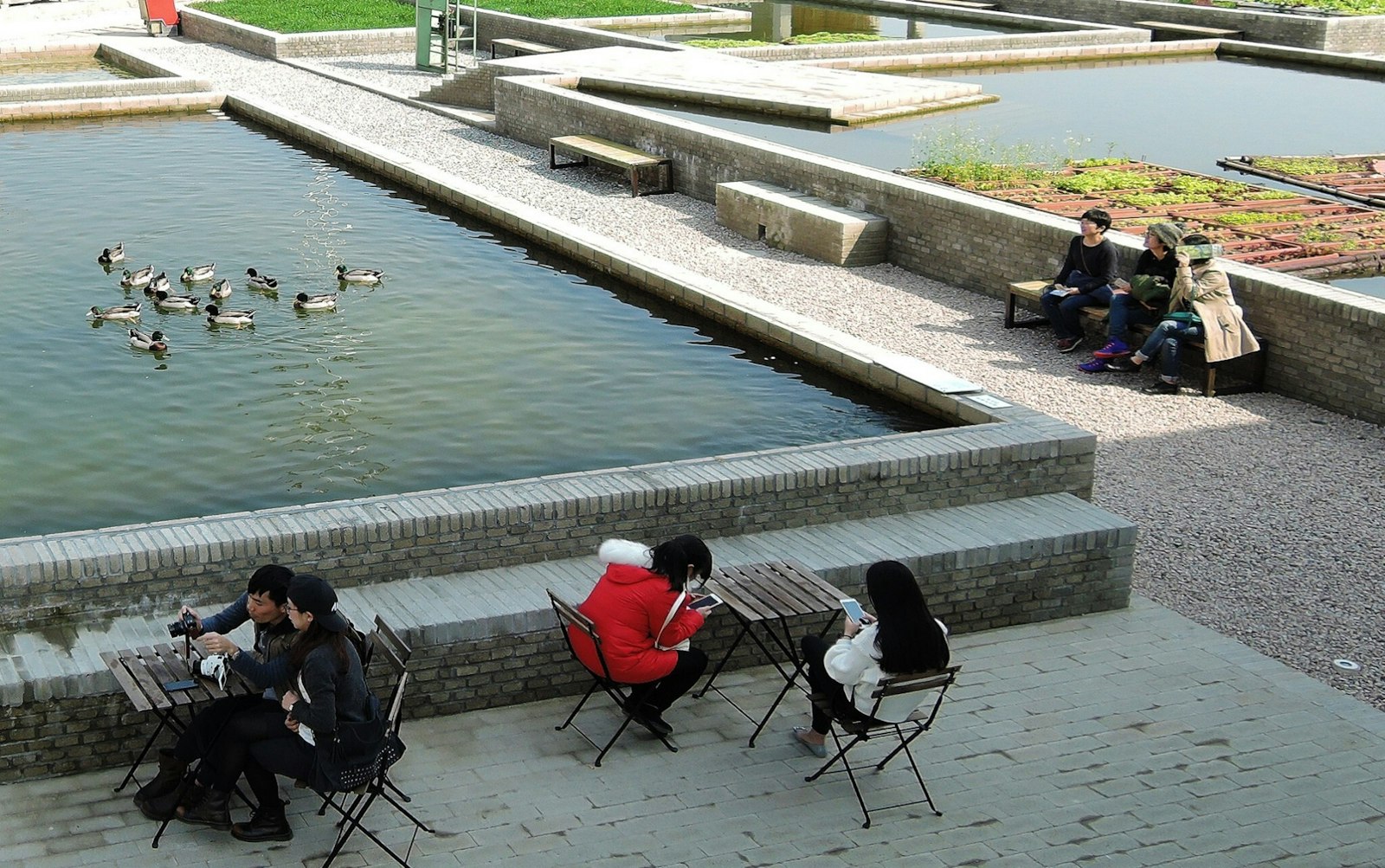 Floating Fields: Recycling Architecture as Productive Leisure Pondscape