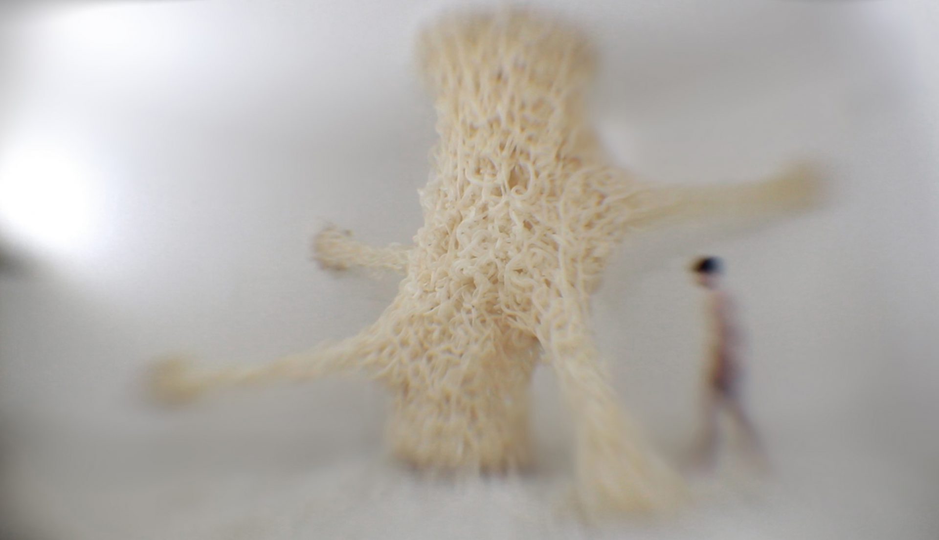 In this lecture, François Roche will discuss his latest creative work ...