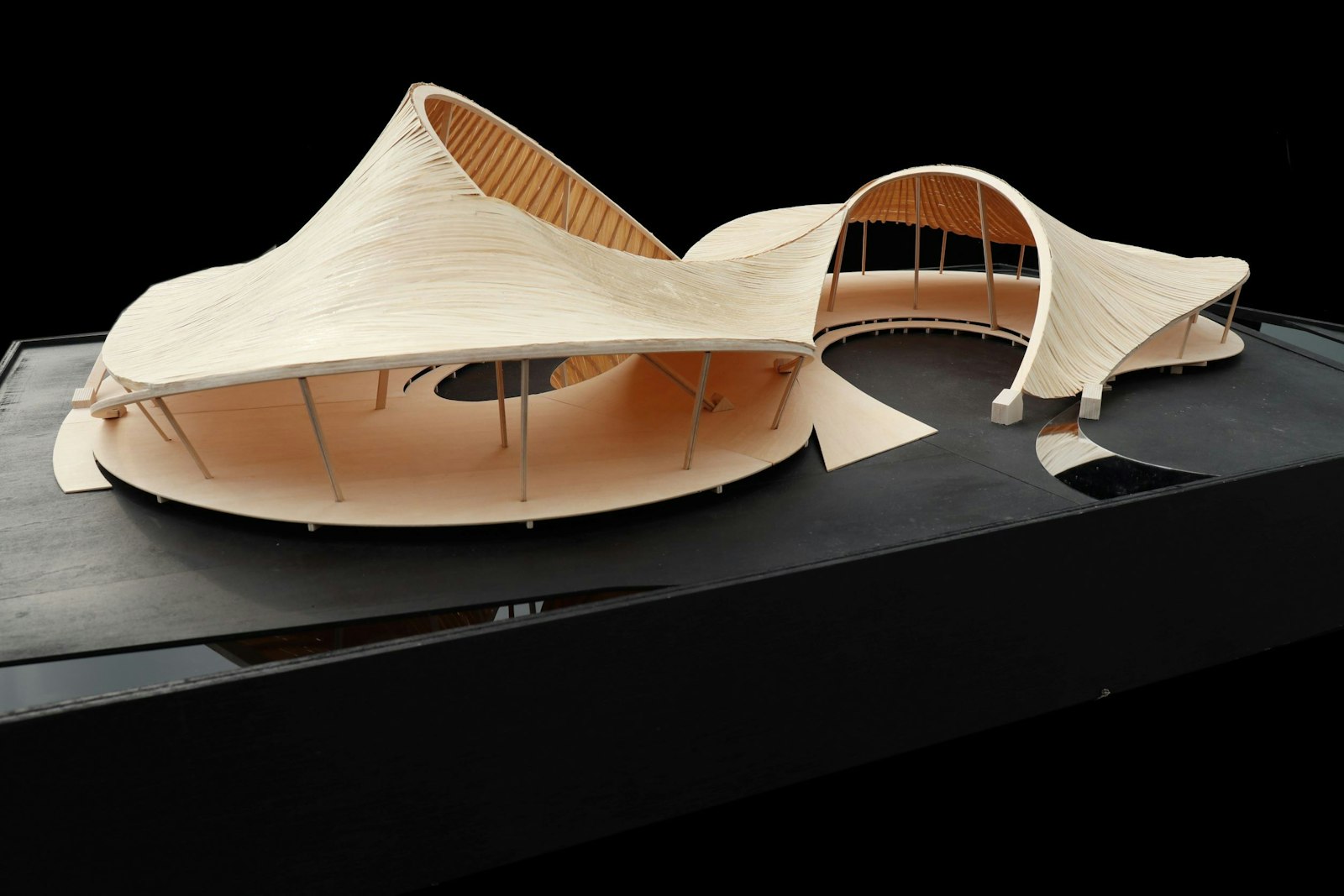 Catenary Timber Structure