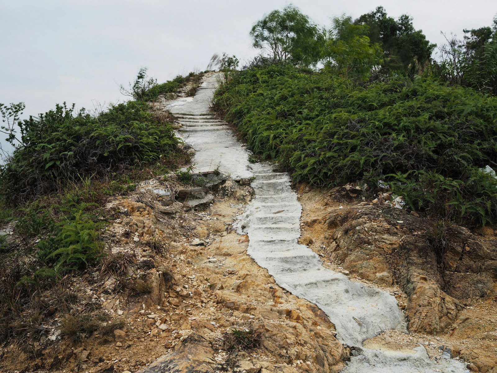Speaker Pierfrancesco Celada